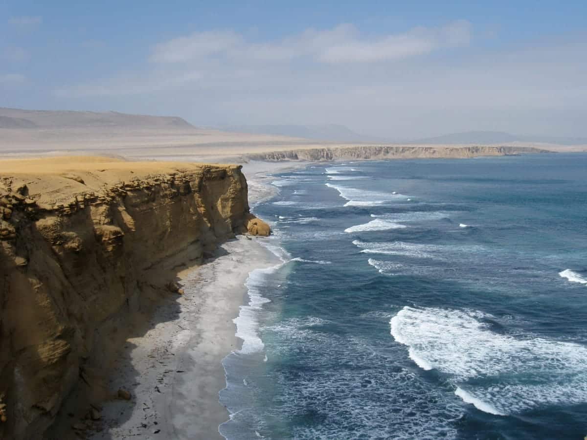 Character, Courage, and Commitment | Wild Gratitude - Stacey Couch