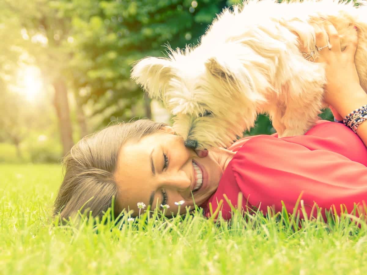 How to Celebrate World Animal Day