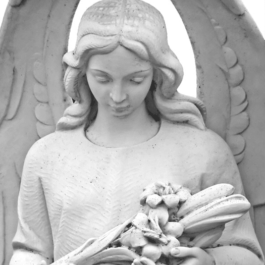 What is an Archetype? | Wild Gratitude - Stacey Couch