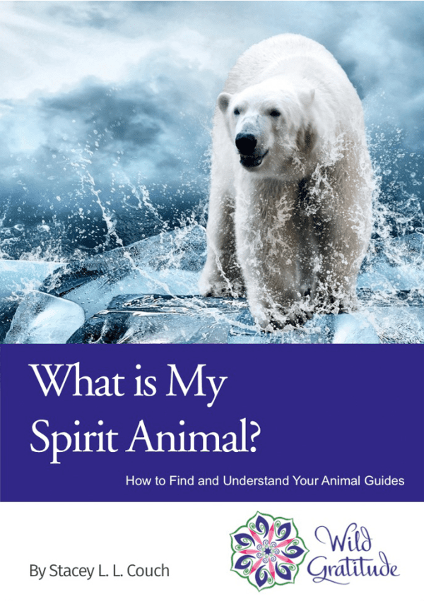 What Is Your Spirit Animal | Wild Gratitude - Stacey Couch